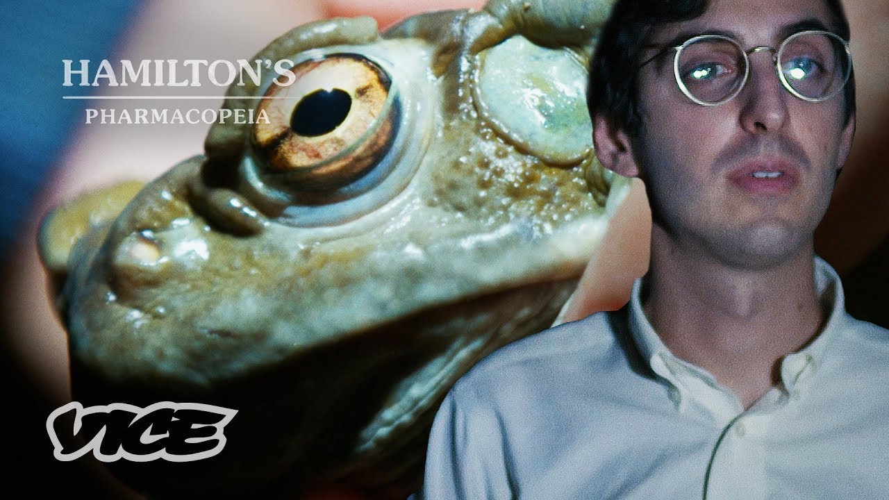 The World's Most Potent Psychedelic | HAMILTON'S PHARMACOPEIA - YouTube
