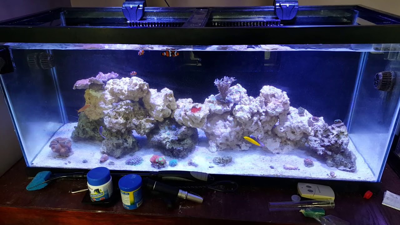 Frag Tank Build 7 & 1 year update - YouTube