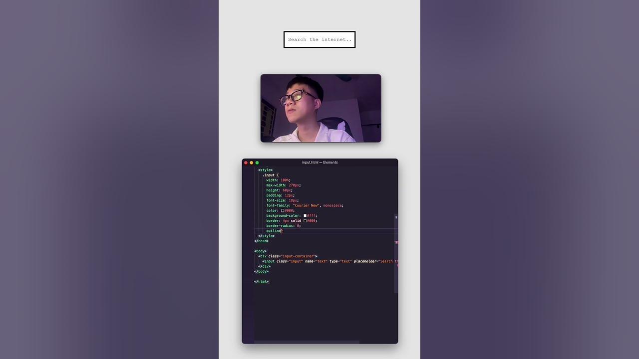 Input using HTML CSS - YouTube