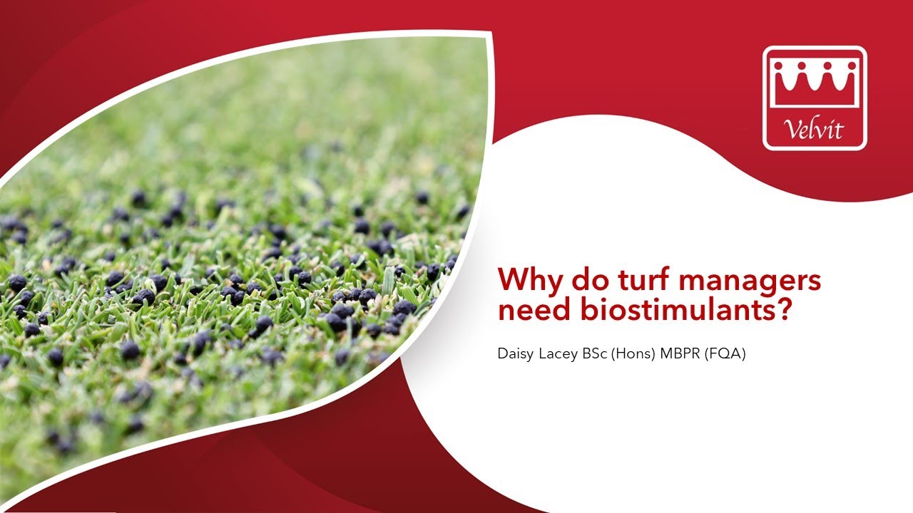 Why do turf managers need biostimulants? - YouTube