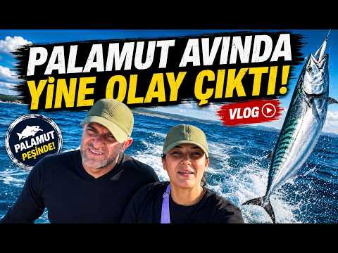 Palamut Avında Bir Gün: Bol Kahkaha, Bol Heyecan 🎣 | Rastgele Bize #kefşet #palamut #balık #zodyak