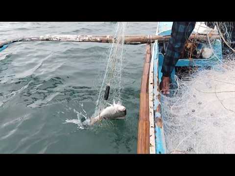 AYAN OH FRESH LAGI ANG HULI KWARTANG LINAW NA RIN #fishing #netfishing ...