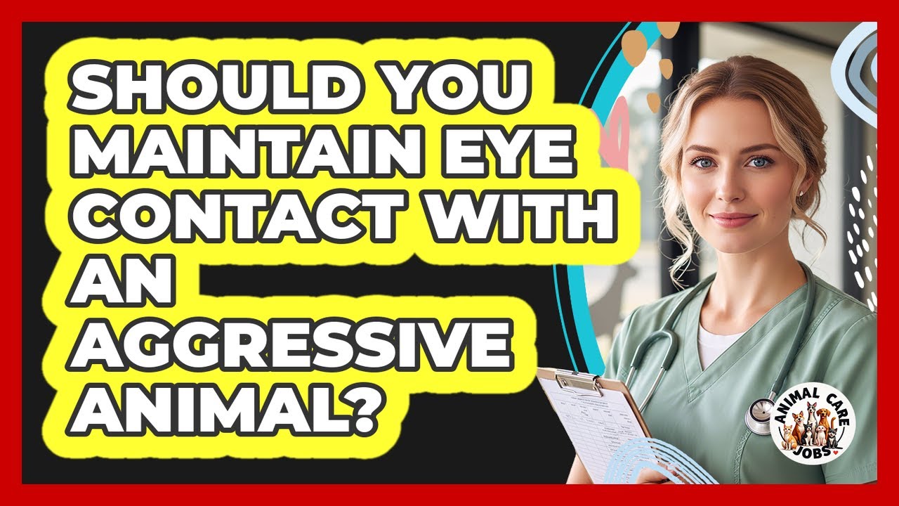 Should You Maintain Eye Contact With An Aggressive Animal? - YouTube