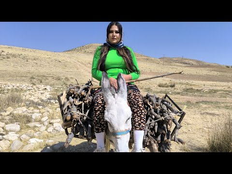 village life in Iran:  amazing cooking and donkey riding🏇 and tandoori bread 