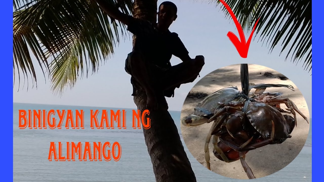 pumonta Ako sa aking Kaibigan at binigyan nya kami ng alimango. - YouTube