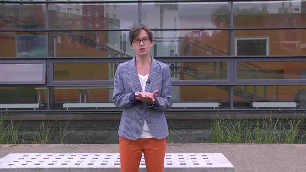 50 years, 50 stories - Dr Elizabeth McDermott on the work of the Queer ...