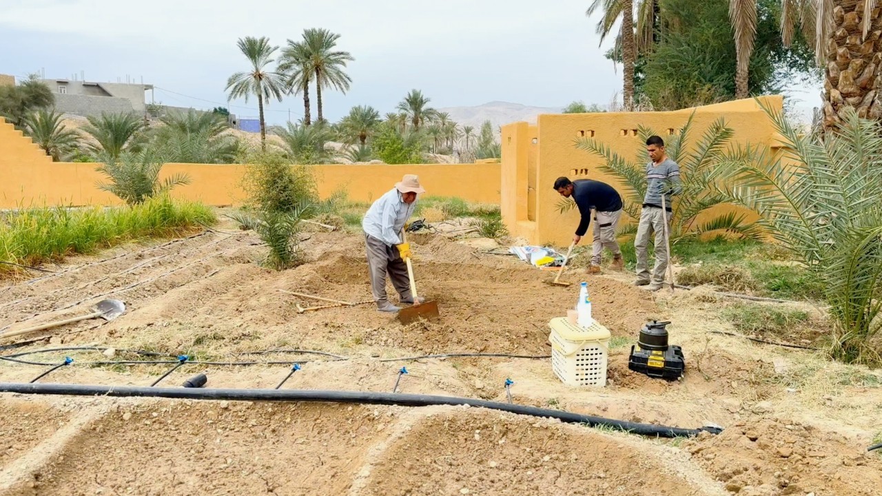 Happy moments of rural life: love and work together! - YouTube