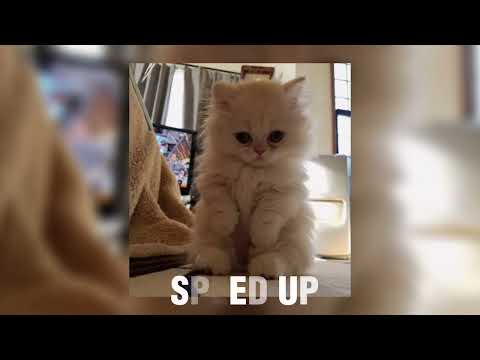 yenə ağlımda speed up - javid amir