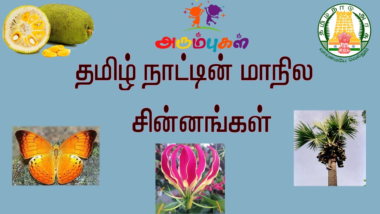 Learn State Symbols Of Tamil Nadu learn-state-symbols-of-tamil-nadu