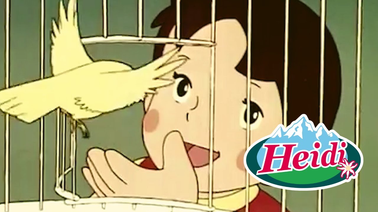 El pajarito de Heidi no quiere VOLAR 🐦Episodios completos 🌸 DIBUJOS ...