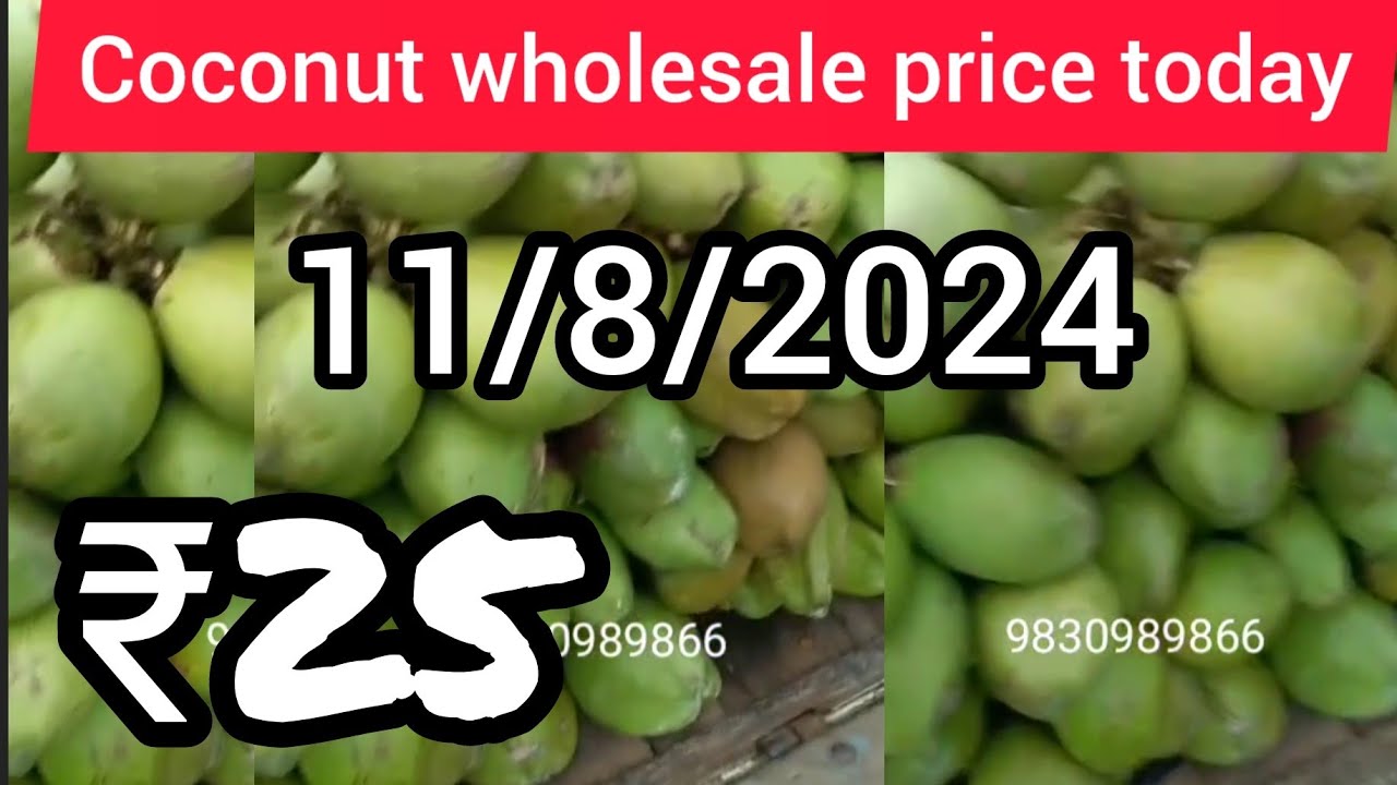 ₹25 tender coconut wholesale price today || nariyal ka wholesale bhav || coconut price - YouTube