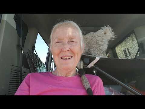 Pretty Bird Song and Looking at Land Where You Can Park an RV - YouTube