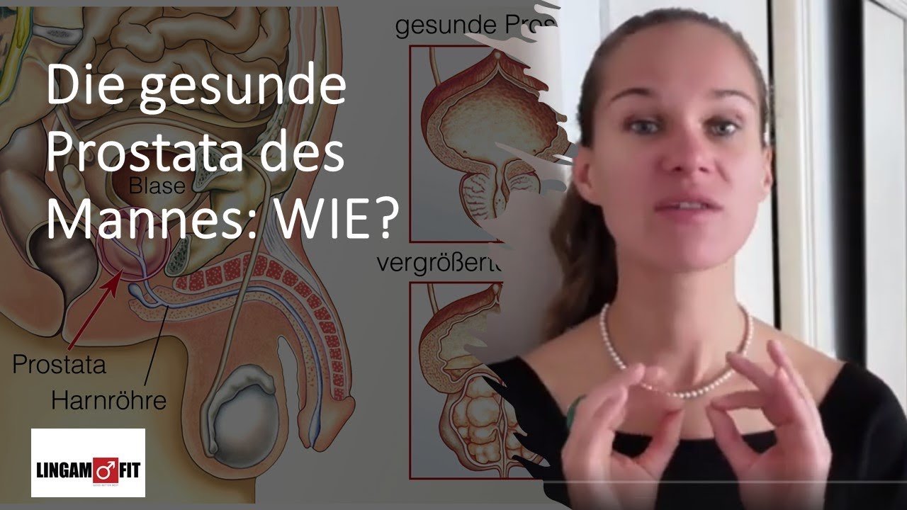 Die Prostata Gesundheit Essentielles Wissen Für Männer Und Frauen