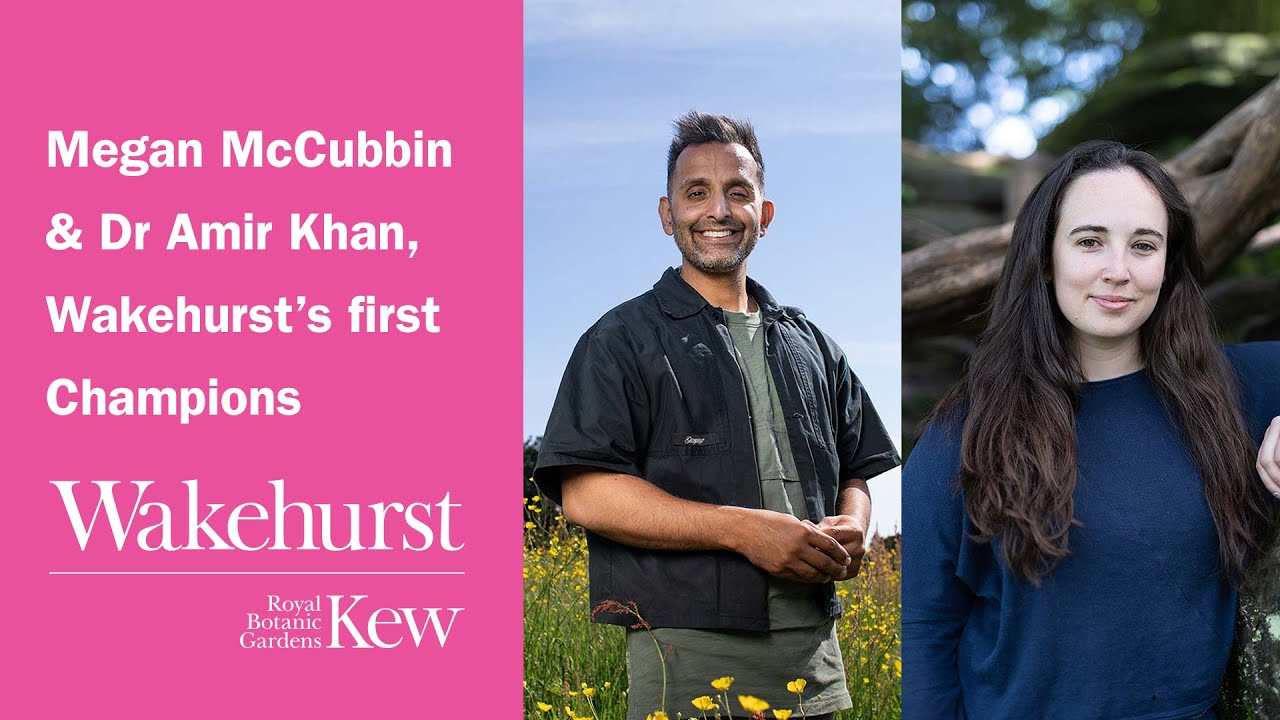 Megan McCubbin & Dr Amir Khan: Wakehurst’s first Champions - YouTube