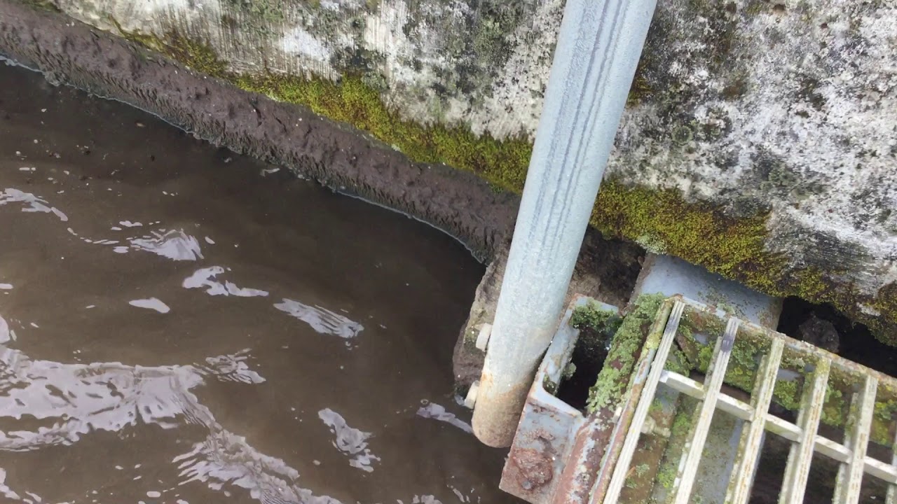 Lindsey WWTP Looking at Ex Aeromod Equipment 4-25-2018 - YouTube