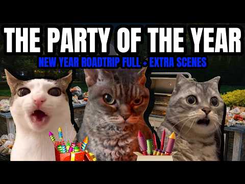 CAT MEMES: THE PARTY OF THE YEAR!!! | NEW YEAR ROADTRIP SPECIALS