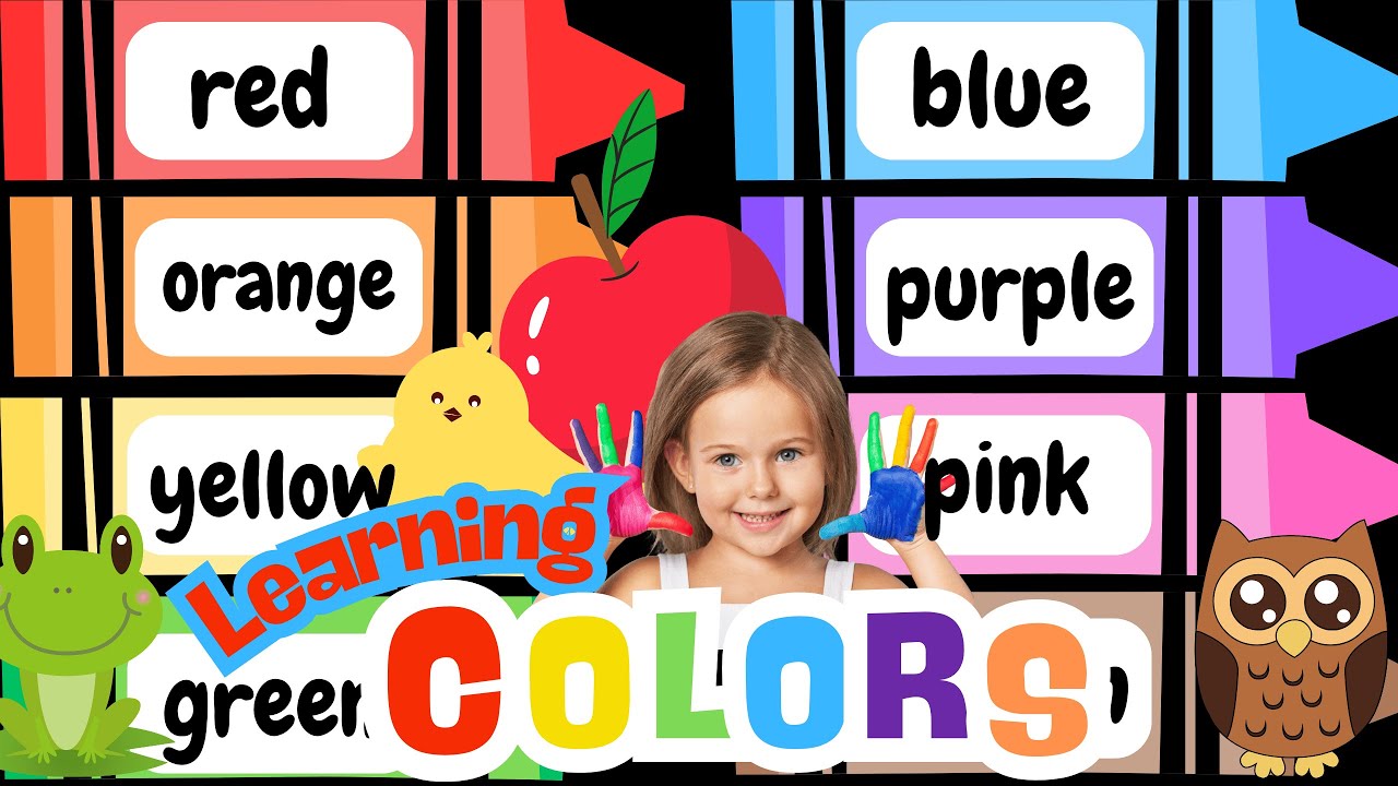 Learn Colors for Toddlers | Fun Color Learning with Real Objects ...