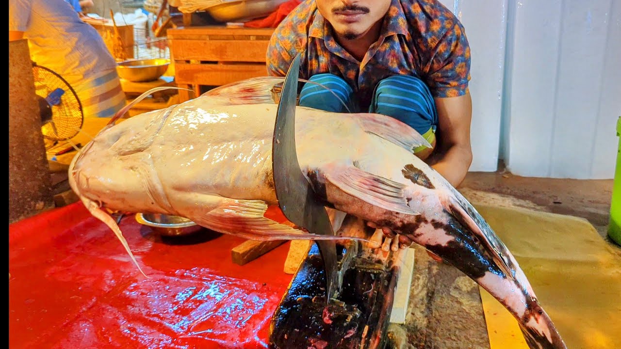 Amazing big bagar kg fish CUTTING po Best fishing videos i village ...