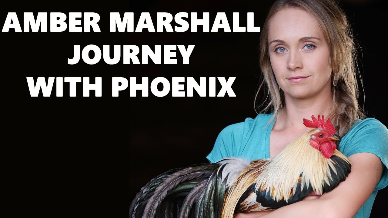 Heartland Actress Amber Marshall journey with Phoenix - YouTube