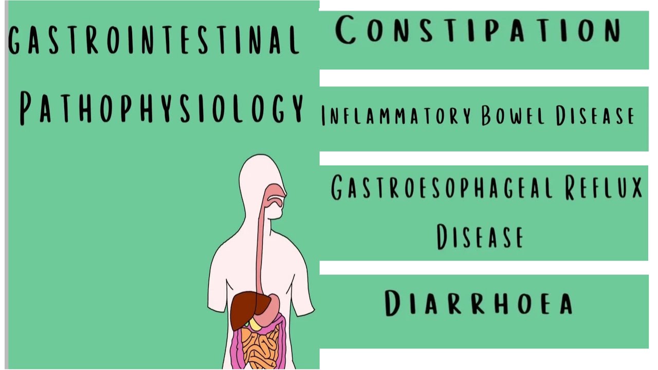 Gastrointestinal Pathophysiology | Gastrointestinal Diseases | Gastric ...