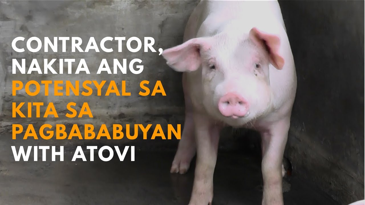Contractor, Nakita Ang Potensyal sa Kita sa Pagbababuyan - YouTube