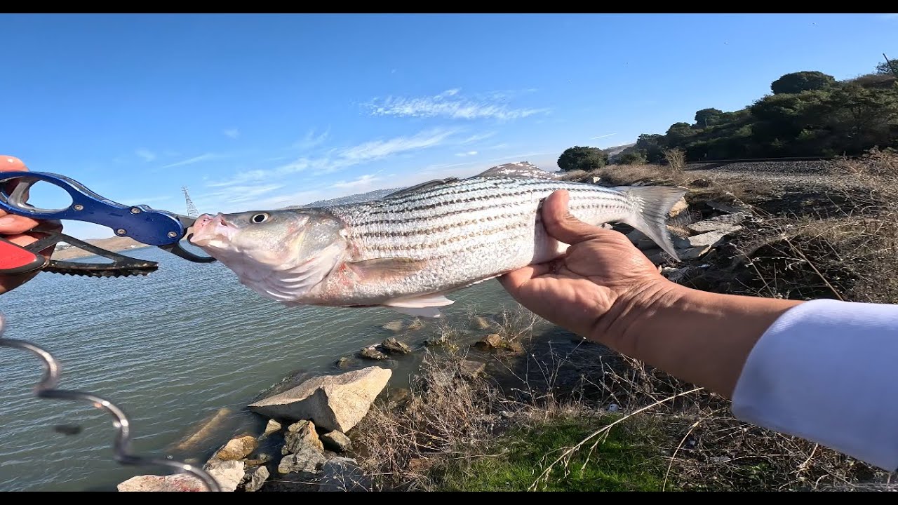 DE VUELTA MI BUENA PESCA EN CROCKET - YouTube