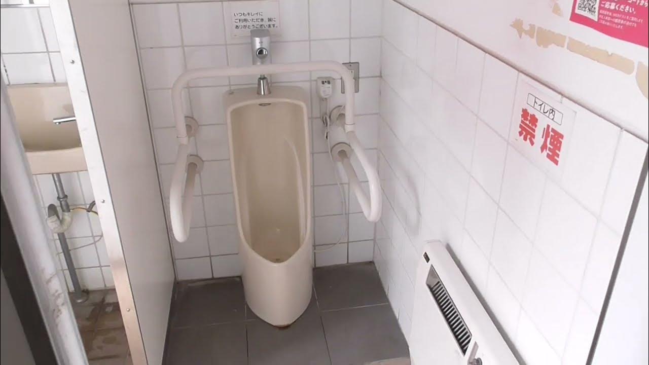 コメリハード&グリーン 鯵ヶ沢店 男性トイレ(青森県・鰺ヶ沢町) Wc Japanese Toilet Flush Youtube