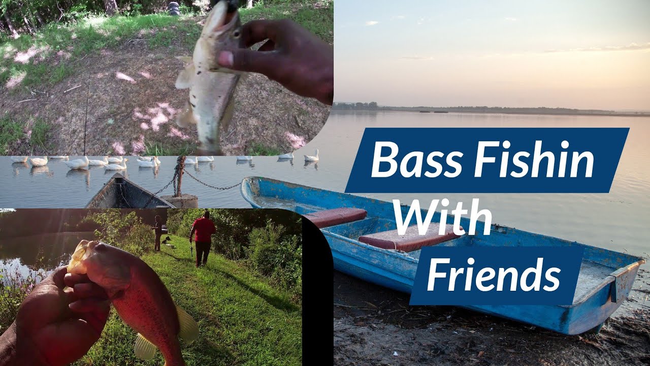 Bass Fishing In an Overpopulated Pond #fisherman - YouTube