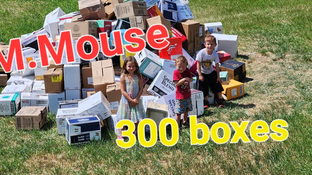 300 boxes - YouTube