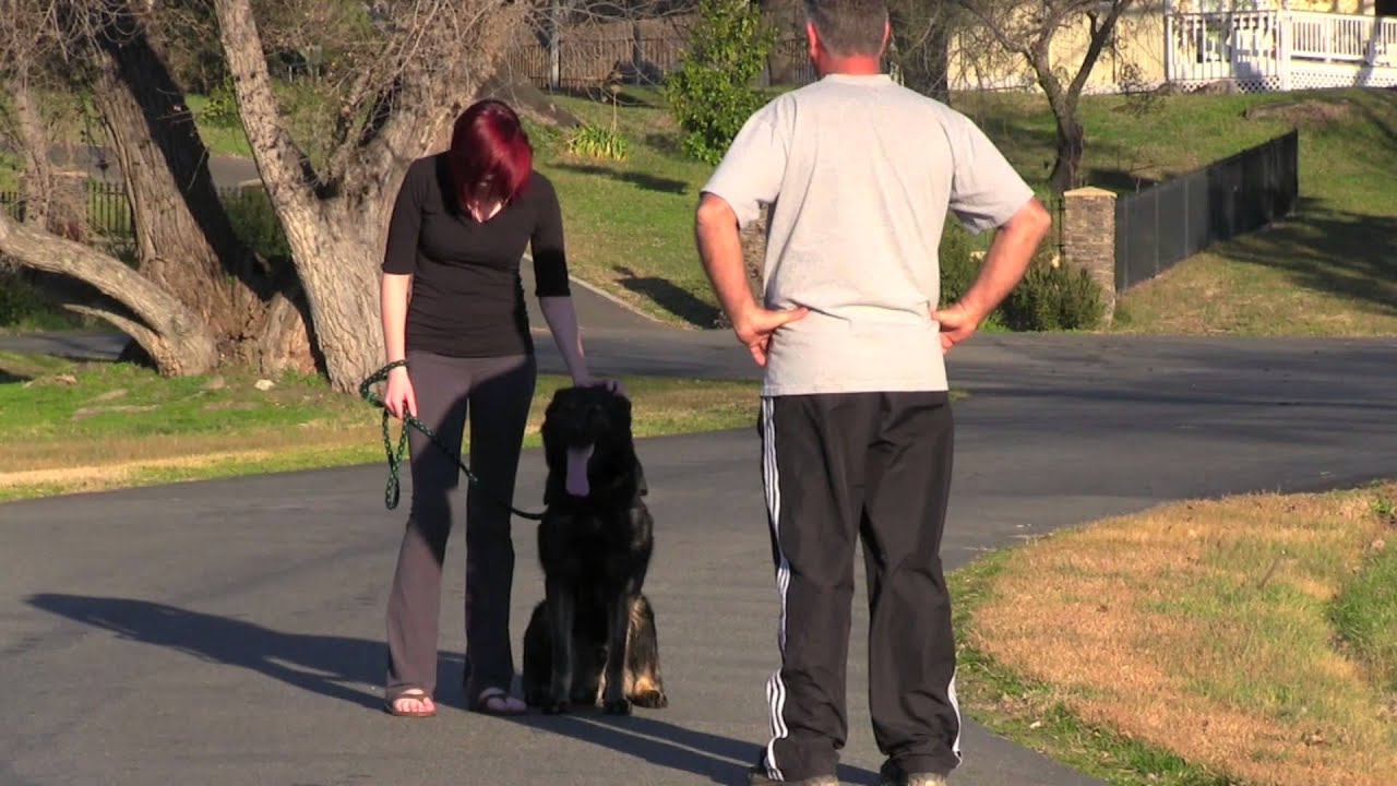 Personal protection training - YouTube