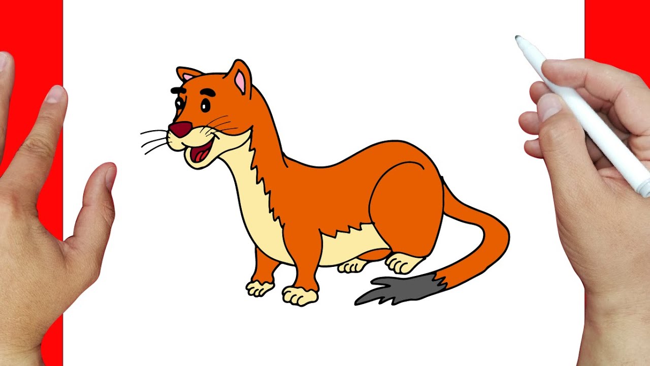 How to draw a weasel step by step - YouTube