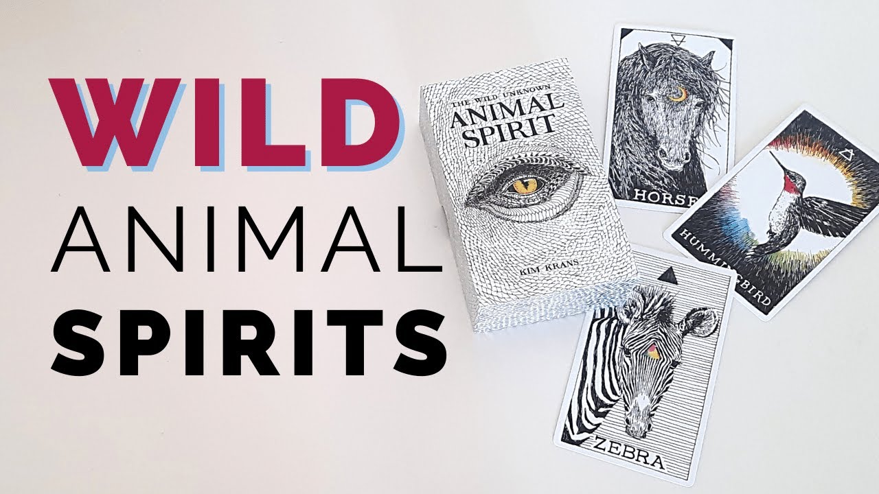 Wild Unknown Animal Spirit Oracle Deck - Walkthrough & Review - YouTube