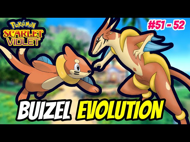 Buizel Evolution Chart