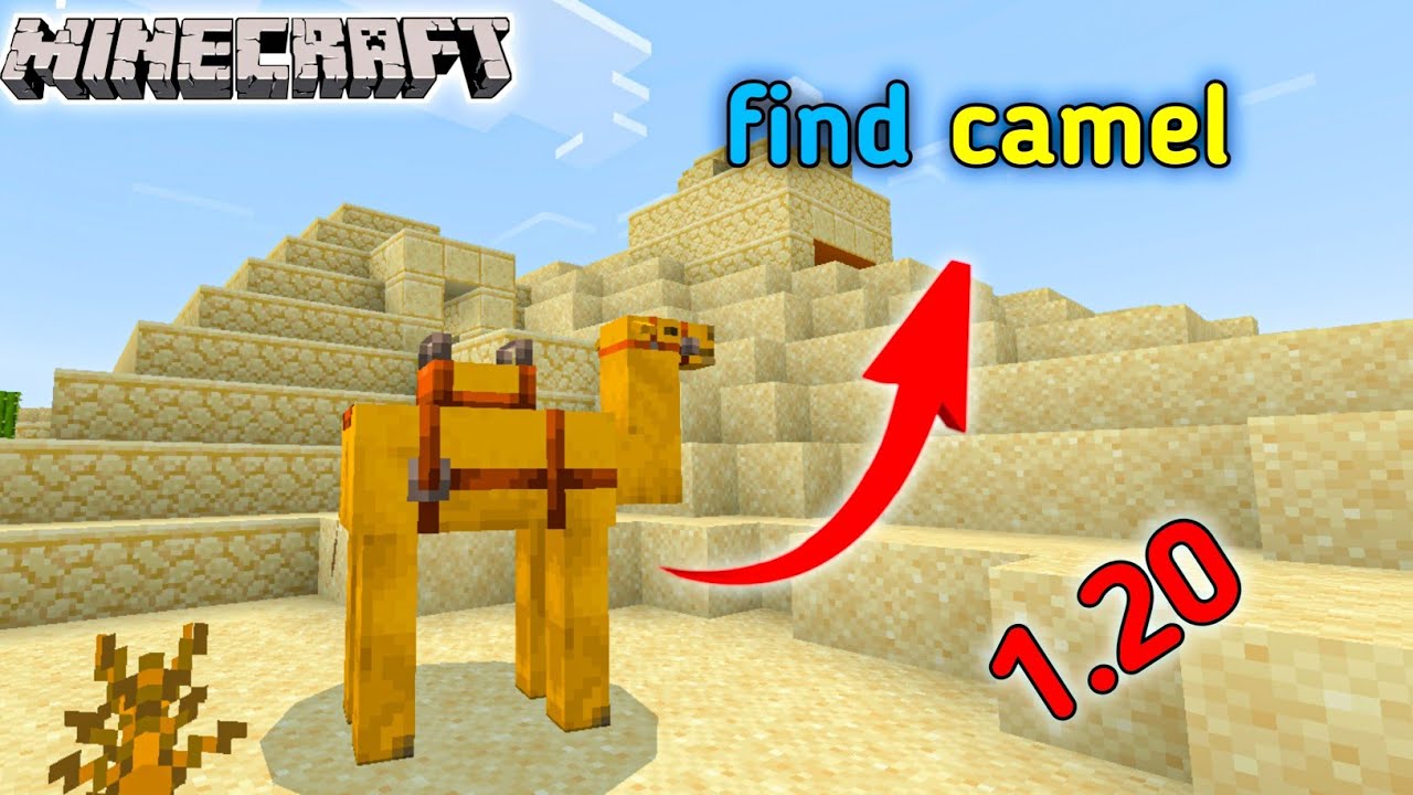 How To find a camel in Minecraft 1.20 || 😍 - YouTube