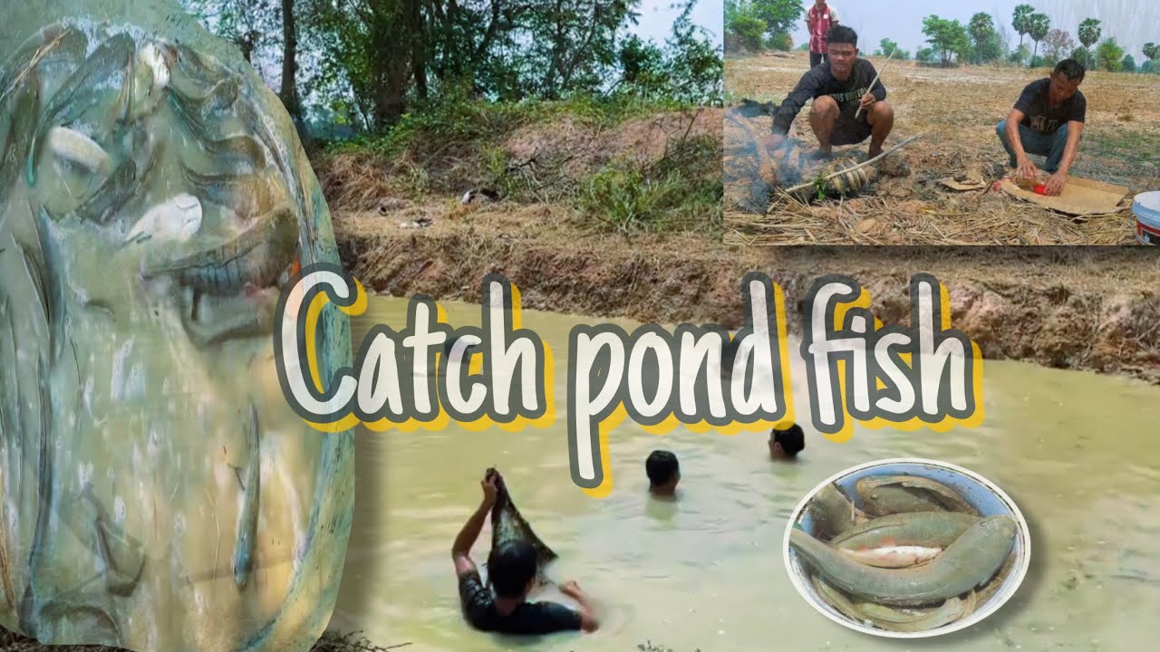 Today I met a lot of people to catch fish in the pond. - YouTube