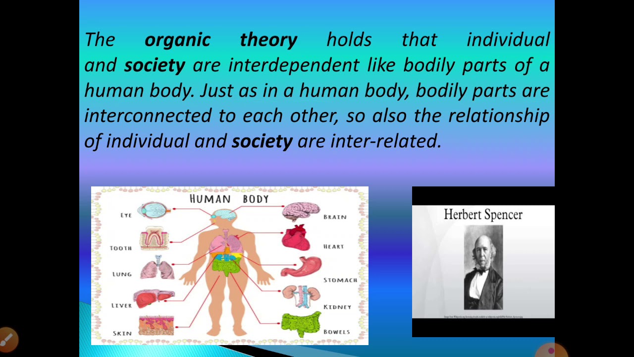Organic Theory of Society - YouTube