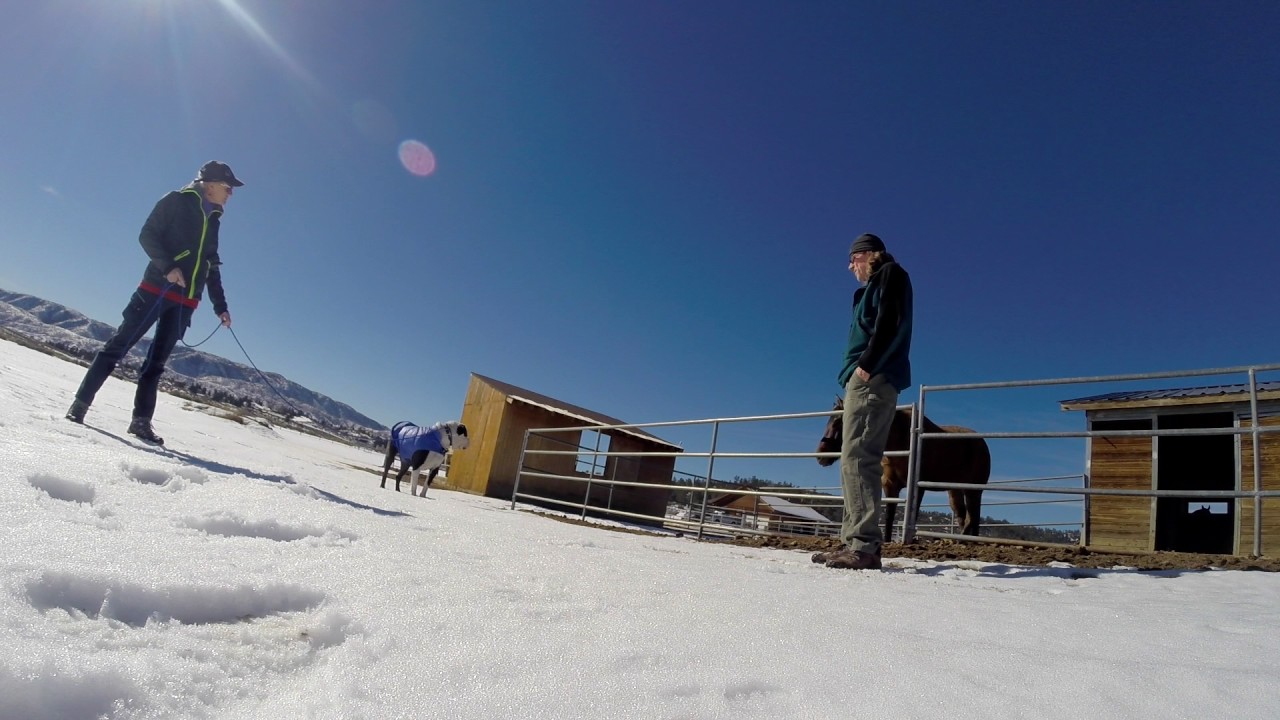 Brian Agnew The Balanced Dog; Switching all 3 drives - YouTube