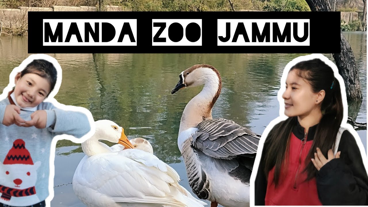 Manda Zoo Jammu|| a day || Stanzin wakha #ladakh #ladakhivlogger - YouTube