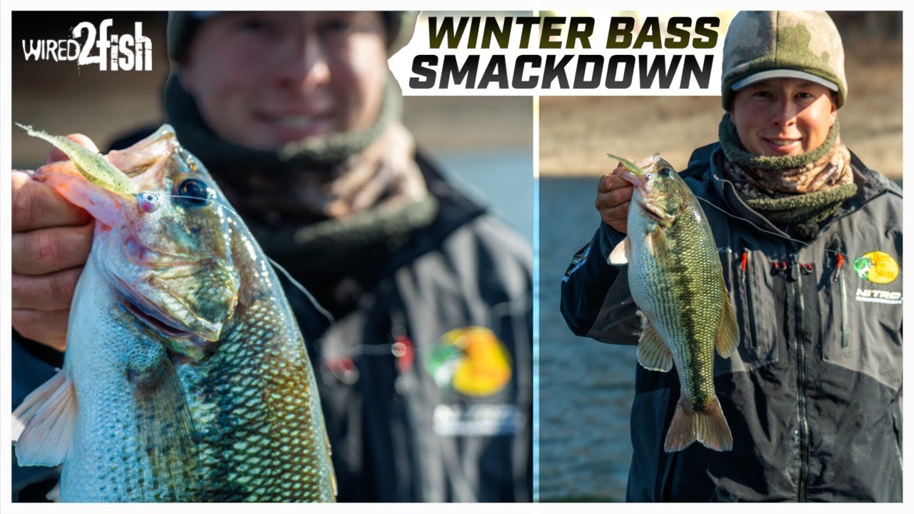 Winter Bass Fishing | Electronics and Damiki Rig Basics - YouTube