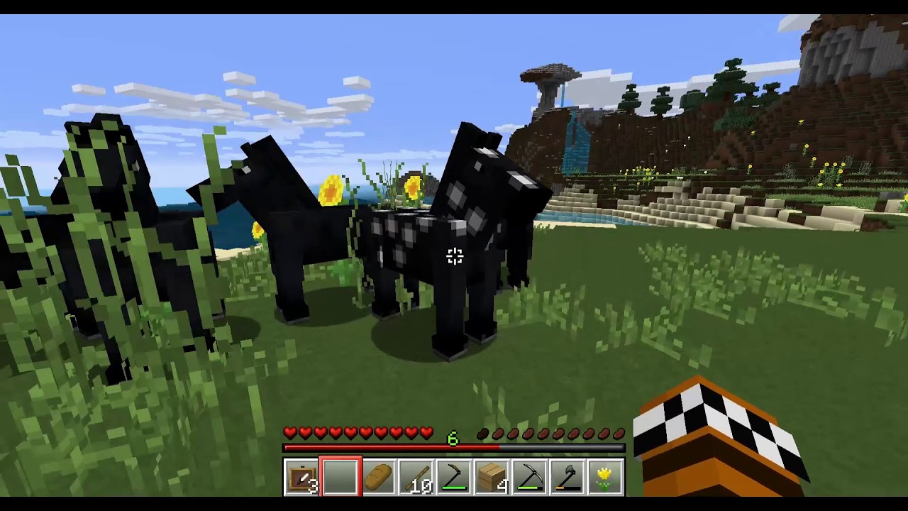 textopia episode 1 town hall & storage - YouTube