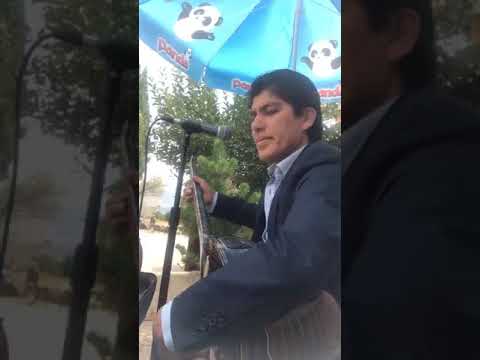 Sazcı HUSO DAMAR TÜRKÜLER EN KRAL TÜRKÜLERI