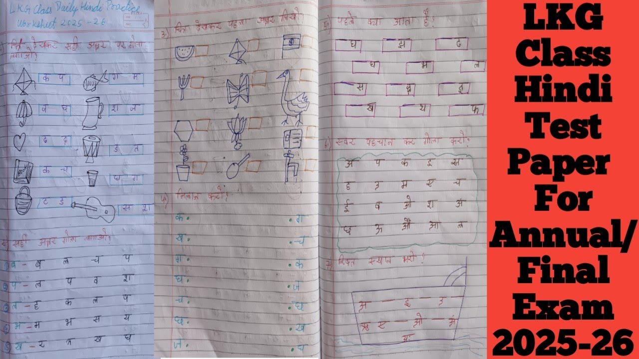 LKG Class Daily Hindi Practice worksheet | LKG Hindi Test Paper for ...