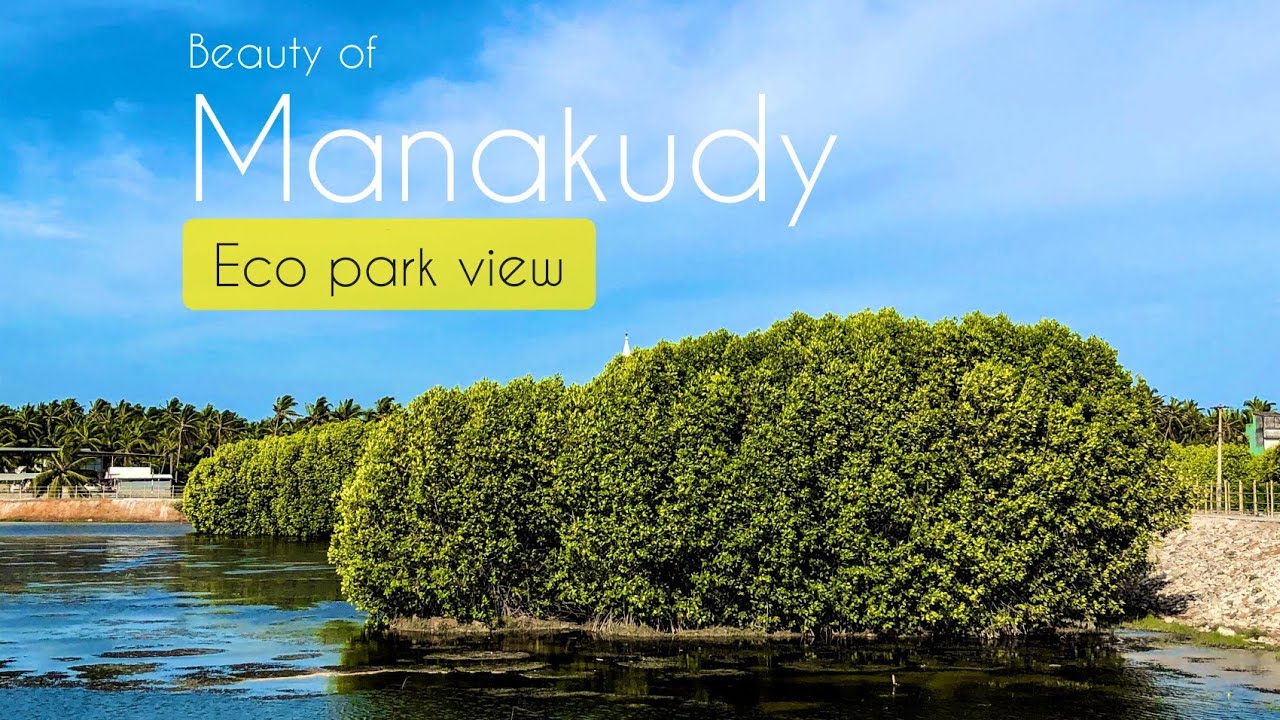 Manakudy Eco park View | tourist place | #Kanyakumari - YouTube