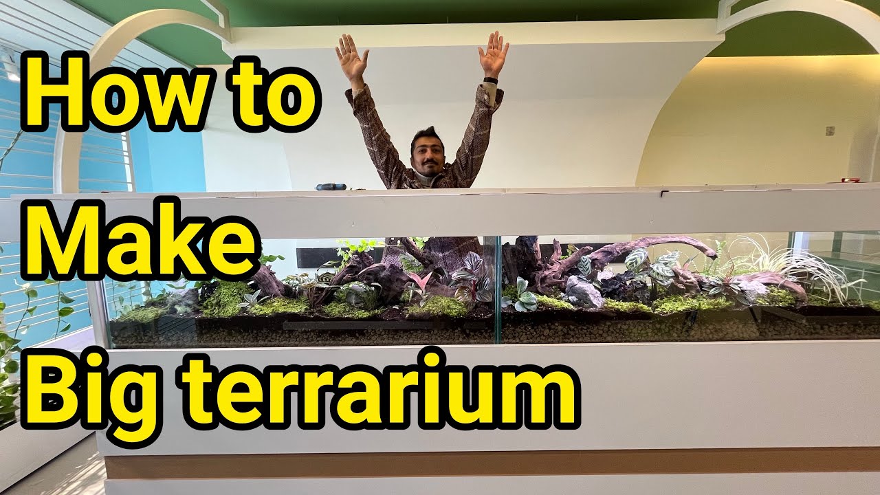 How to make a simple 2.5 meter automatic terrarium? - YouTube