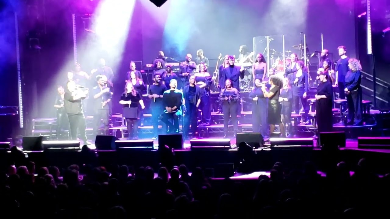 Diary of a CEO live highlights - YouTube