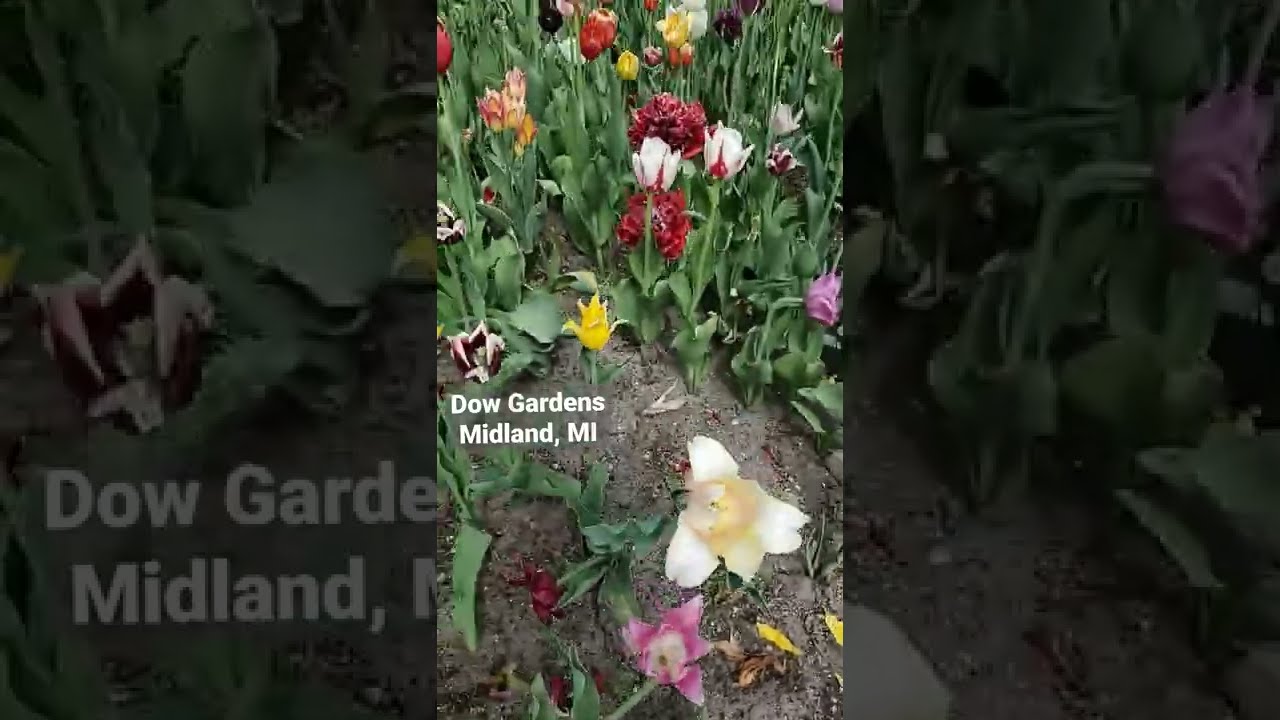 It's a Gorgeous Spring day in Michigan - YouTube