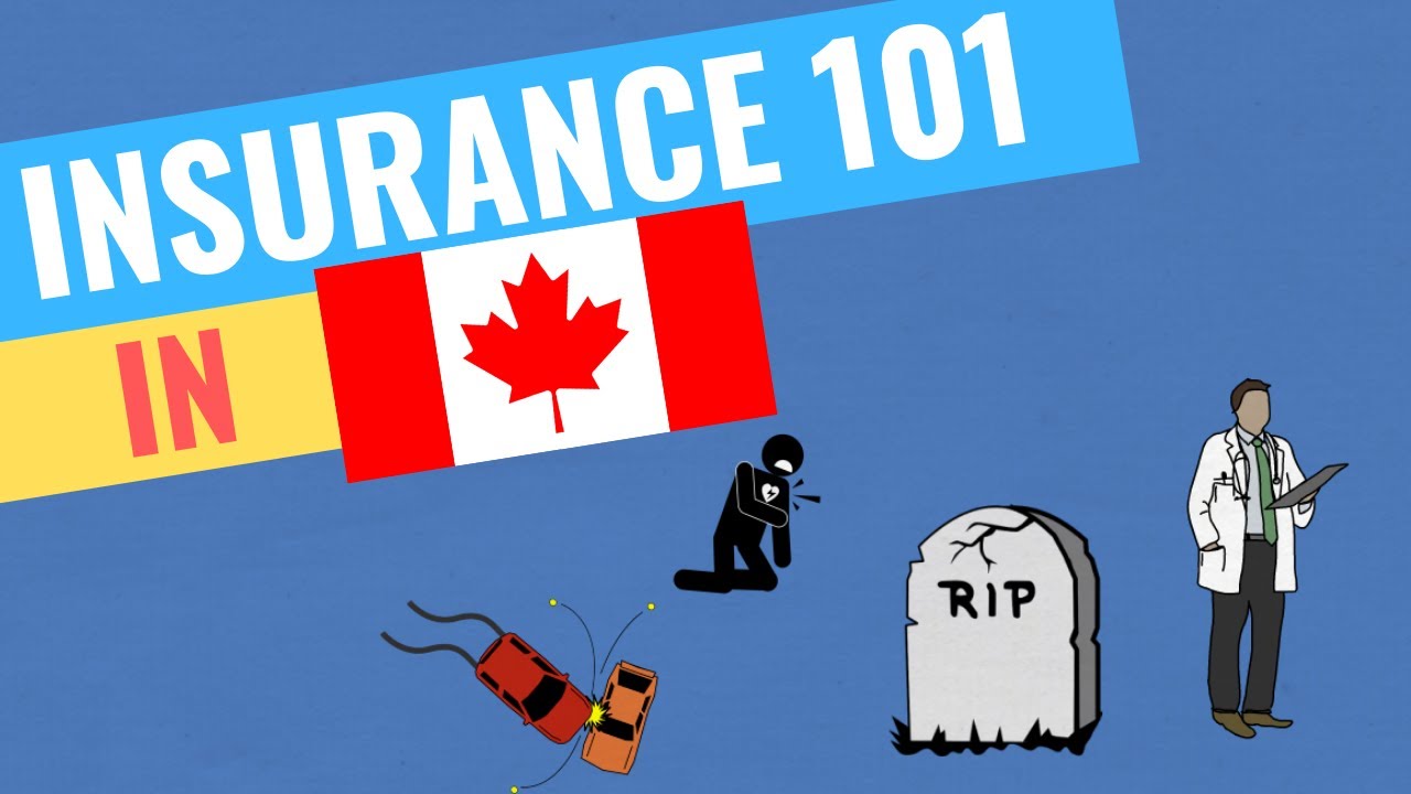 INSURANCE 101🔰| Insurance Products in Canada - YouTube