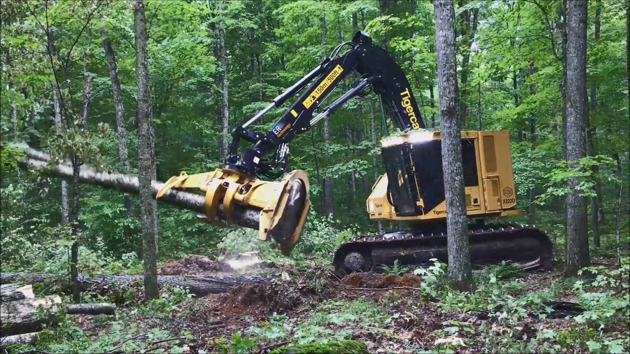 Tigercat X822D Feller Buncher - Woodland Equipment, Inc. - YouTube