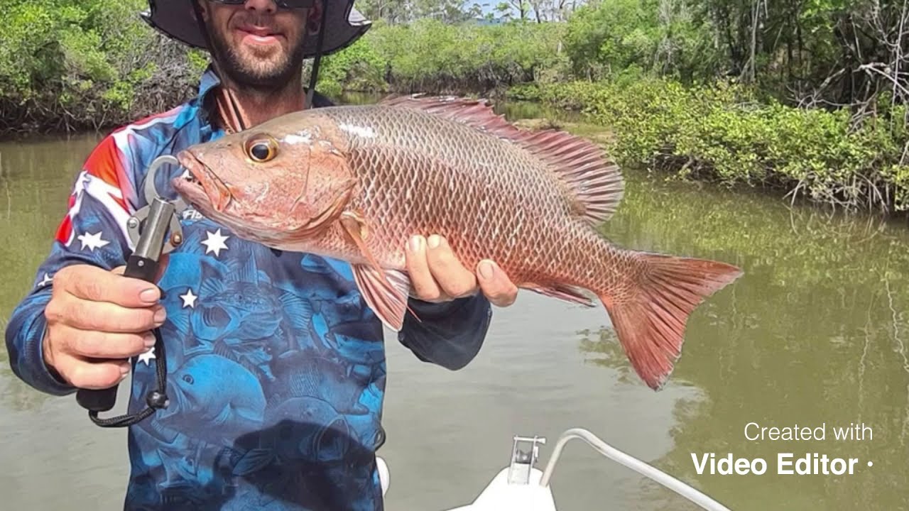 MANGROVE JACK FISHING !! Flicking lures for Jacks and Barra!! Big jack ...