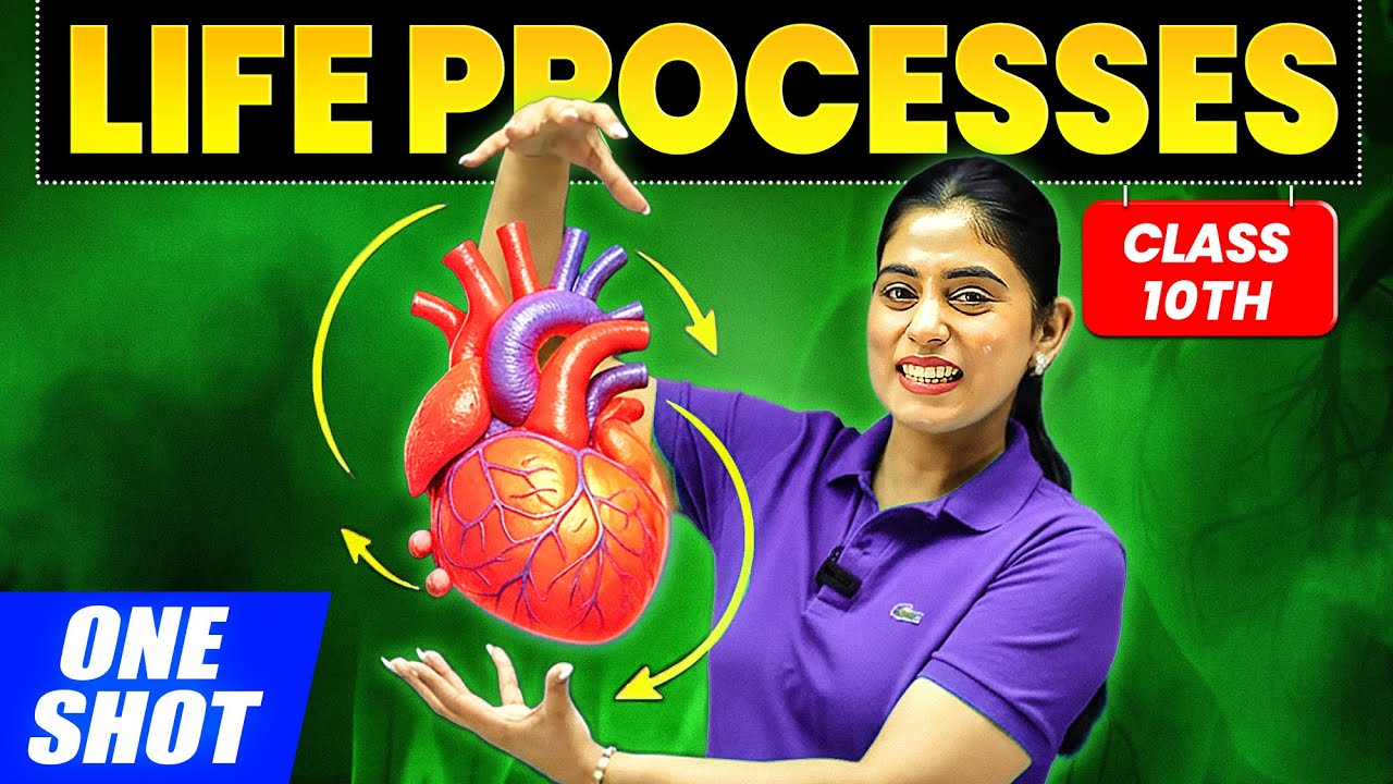 Life Processes in ONE SHOT | Class 10 Science Chapter 5 | NCERT + PYQs ...